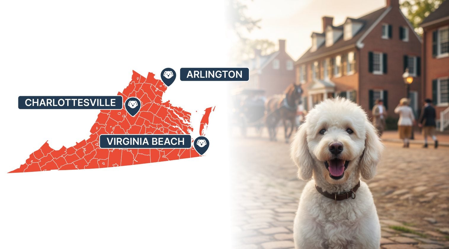 Virginia Emotional Support Animal Laws – Guide to Virginia ESA Laws