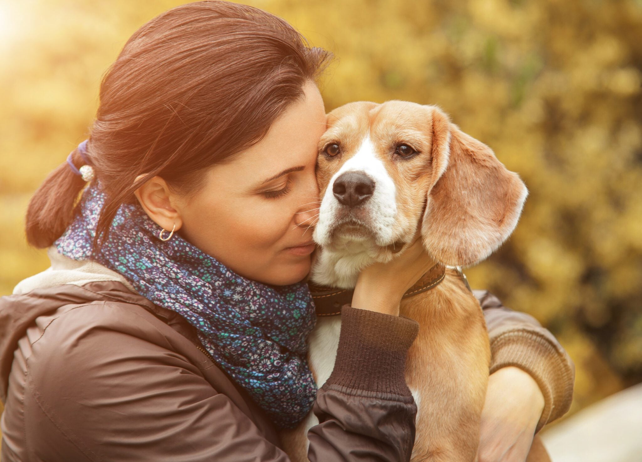 How to Get an Emotional Support Animal (ESA) Letter in Tampa, FL